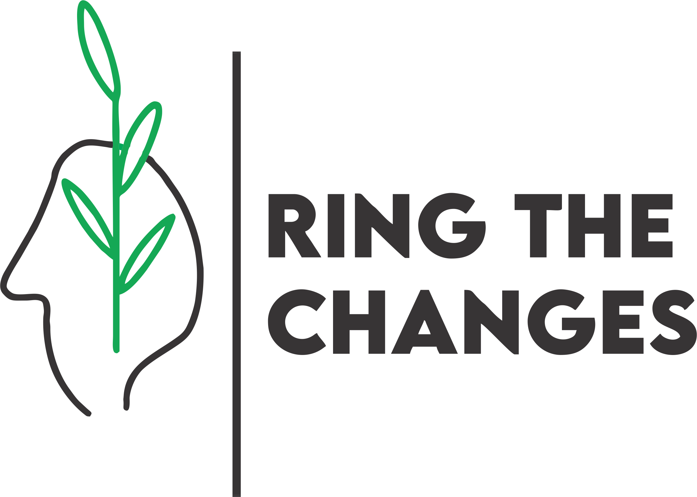 Resurse – Ring The Changes